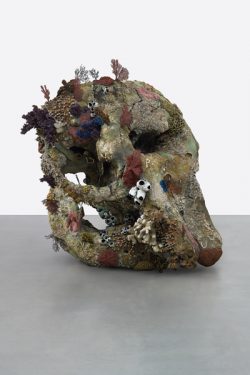 Skull_of_a_Cyclops – Zarpado